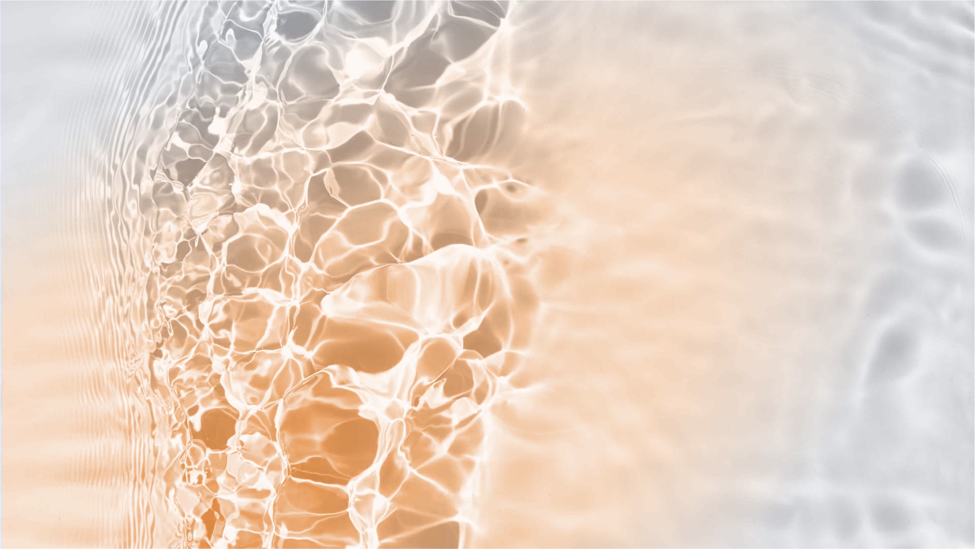 interTwin project - Team and Governance