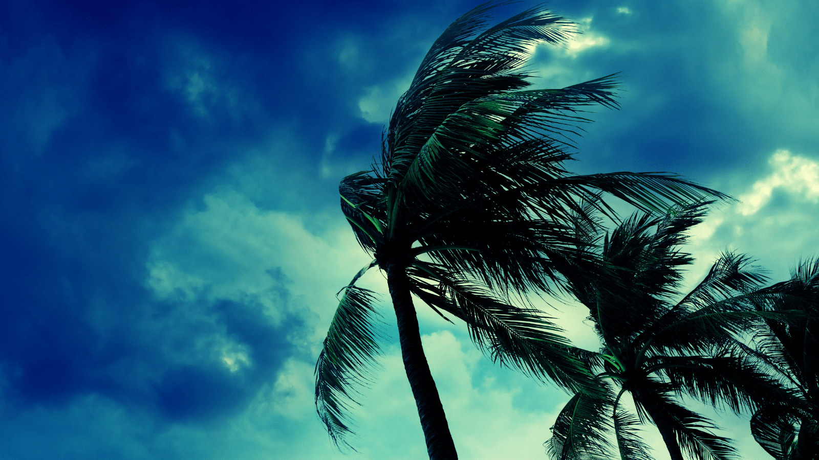 interTwin project - interTwin Use Case: A Digital Twin for projecting ...