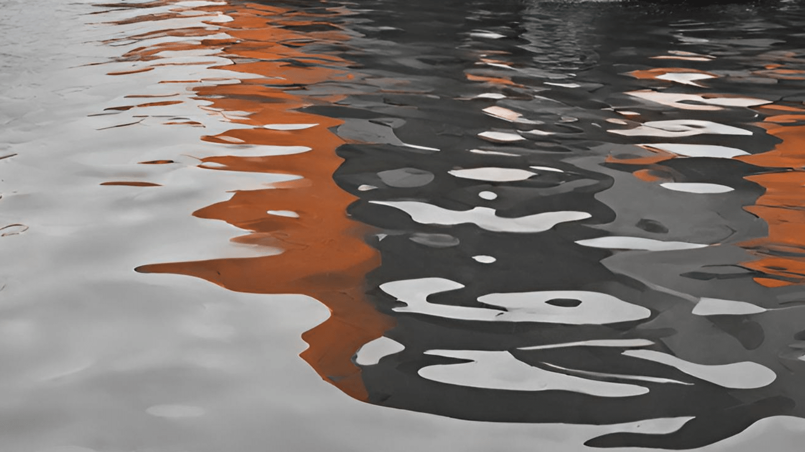 Thematic Module: Delft-FIAT - interTwin project